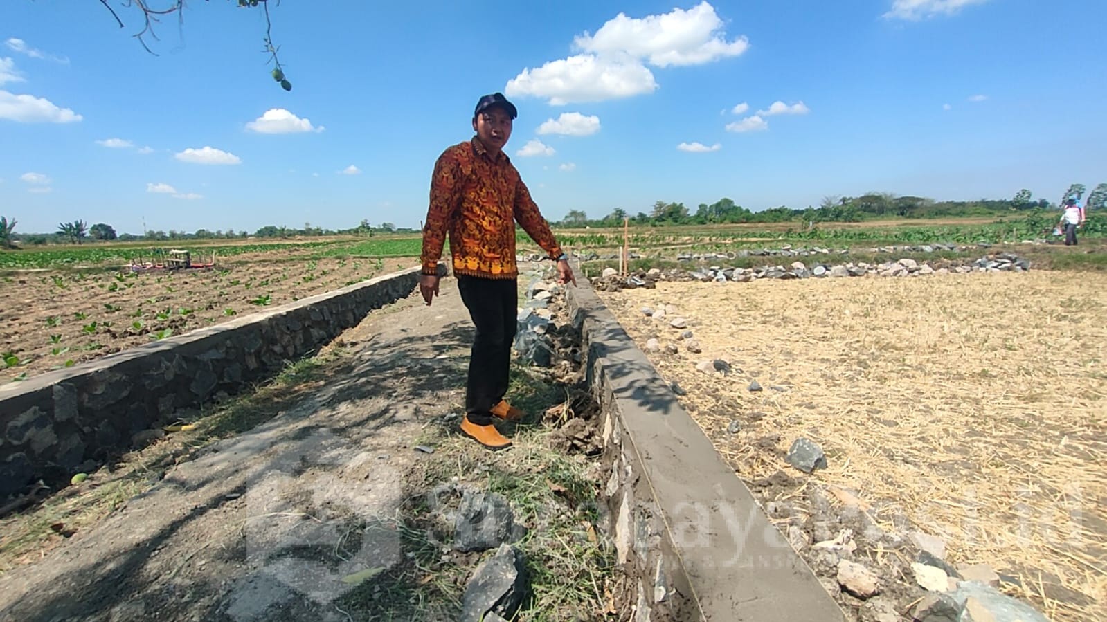 Dulu Pikul Hasil Tani, Kini Petani Desa Pucung Punya JUT | SurabayaPost
