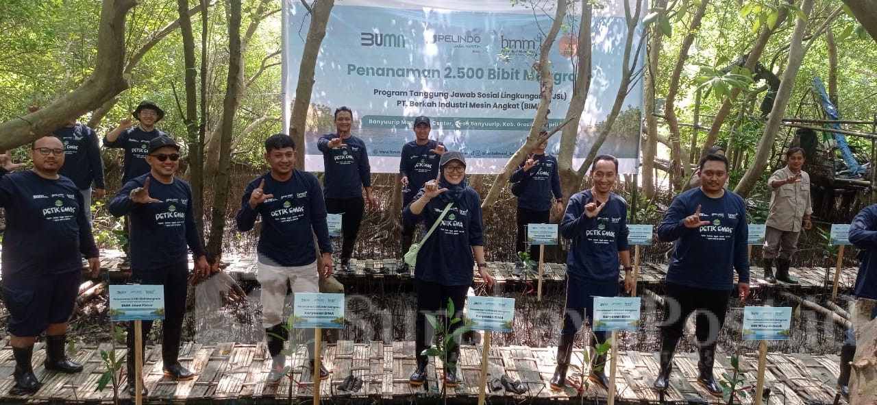 PT. Bima Gandeng BMM Garap Penanaman 2.500 Bibit Mangrove di Banyuurip Mangrove Center ...
